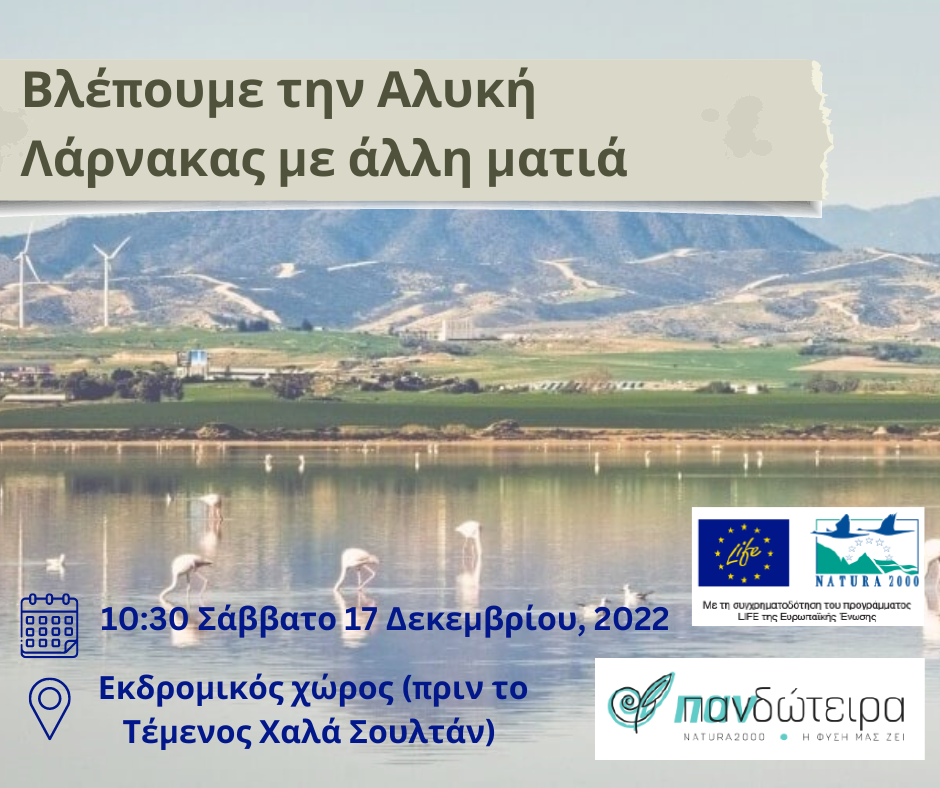 Ελάτε να απολαύσετε την Αλυκή Λάρνακας με άλλη ματιά! - Larnakaonline ...